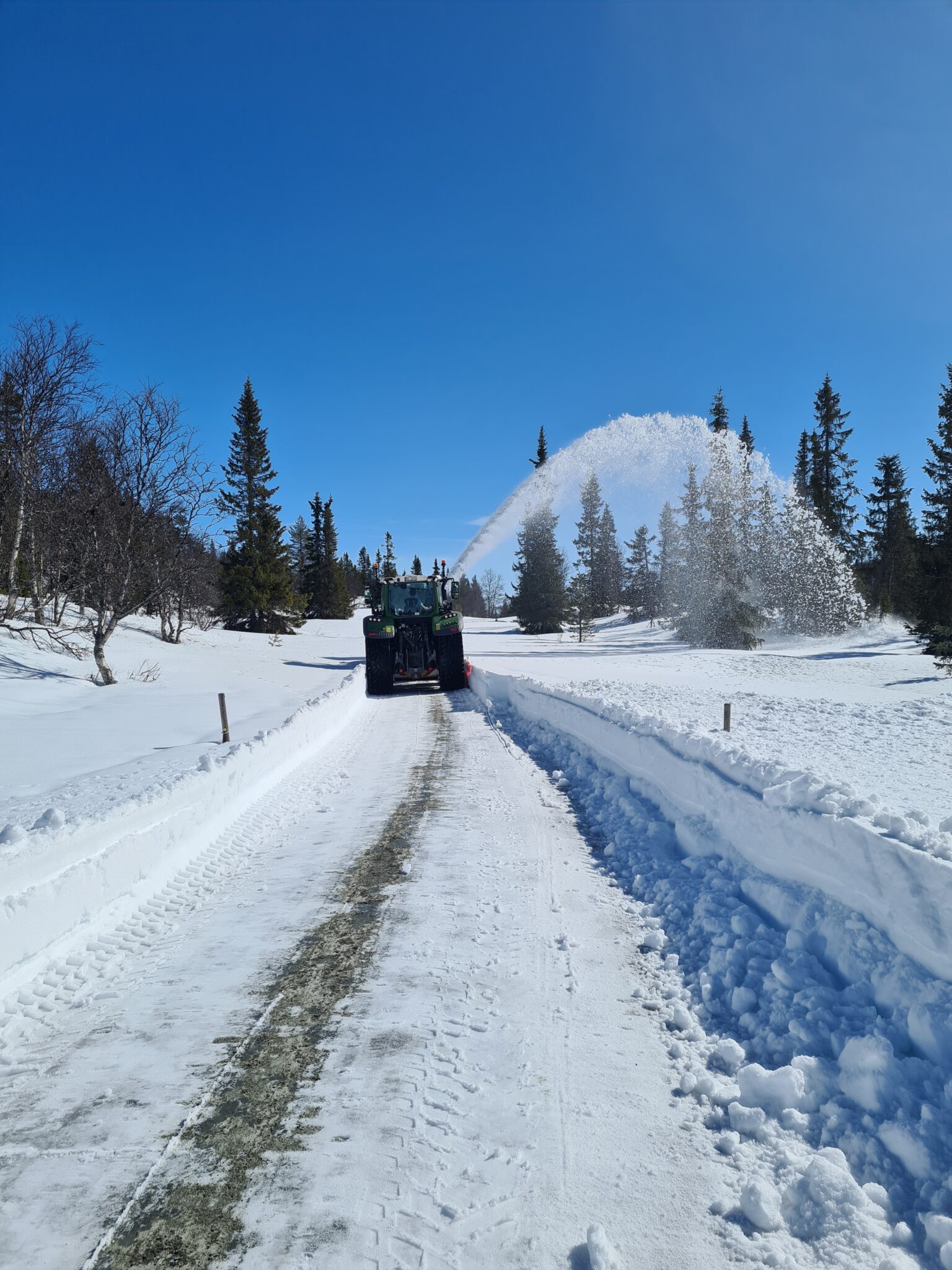 Bilder fra fresing av veien 17. april 2023 - Furusjøvegen SA