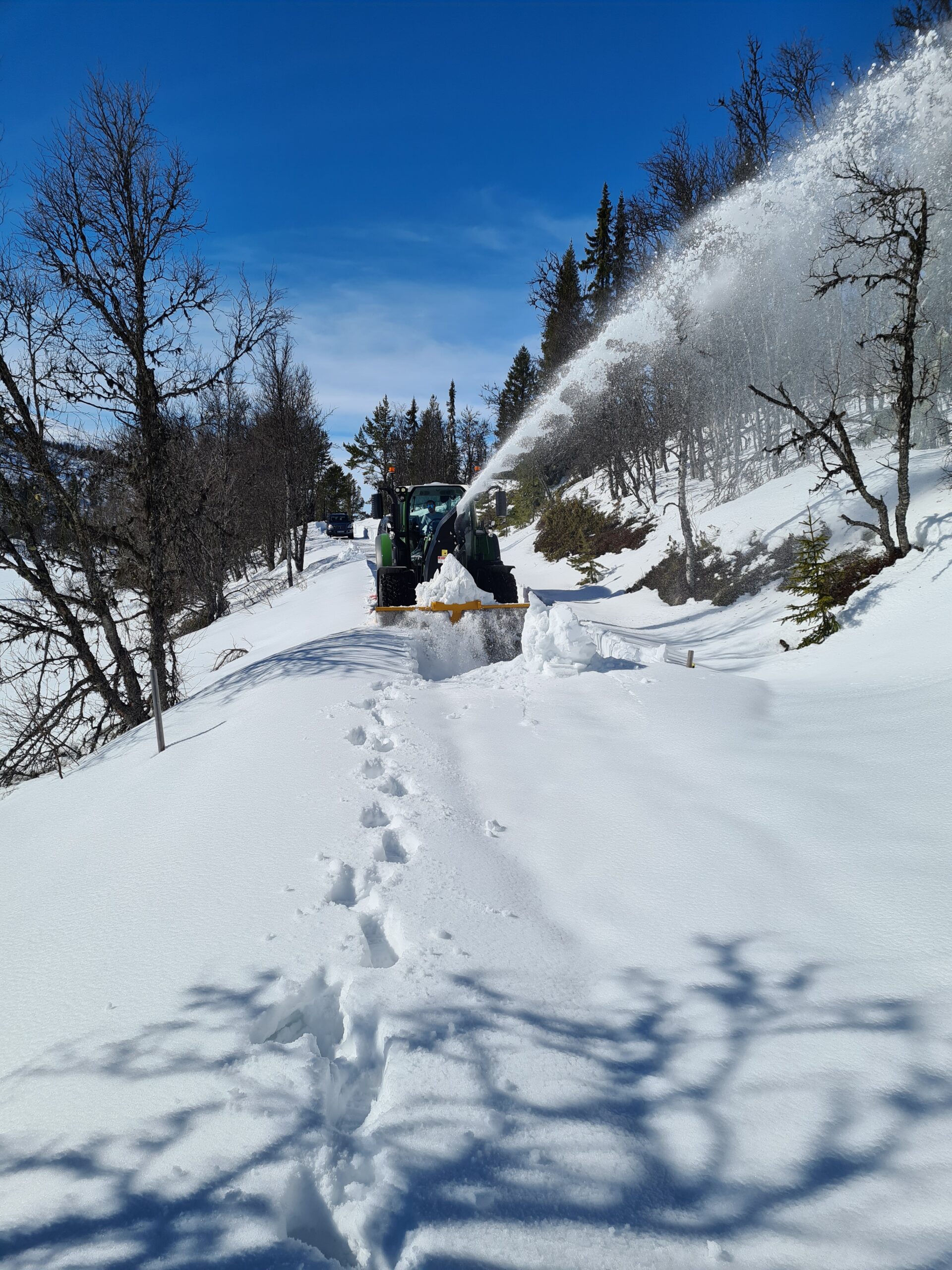 Bilder fra fresing av veien 17. april 2023 - Furusjøvegen SA